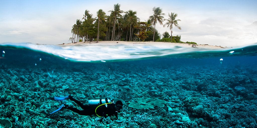 Bali Scuba Diving Guide: Best Dive Sites + Shops in Bali